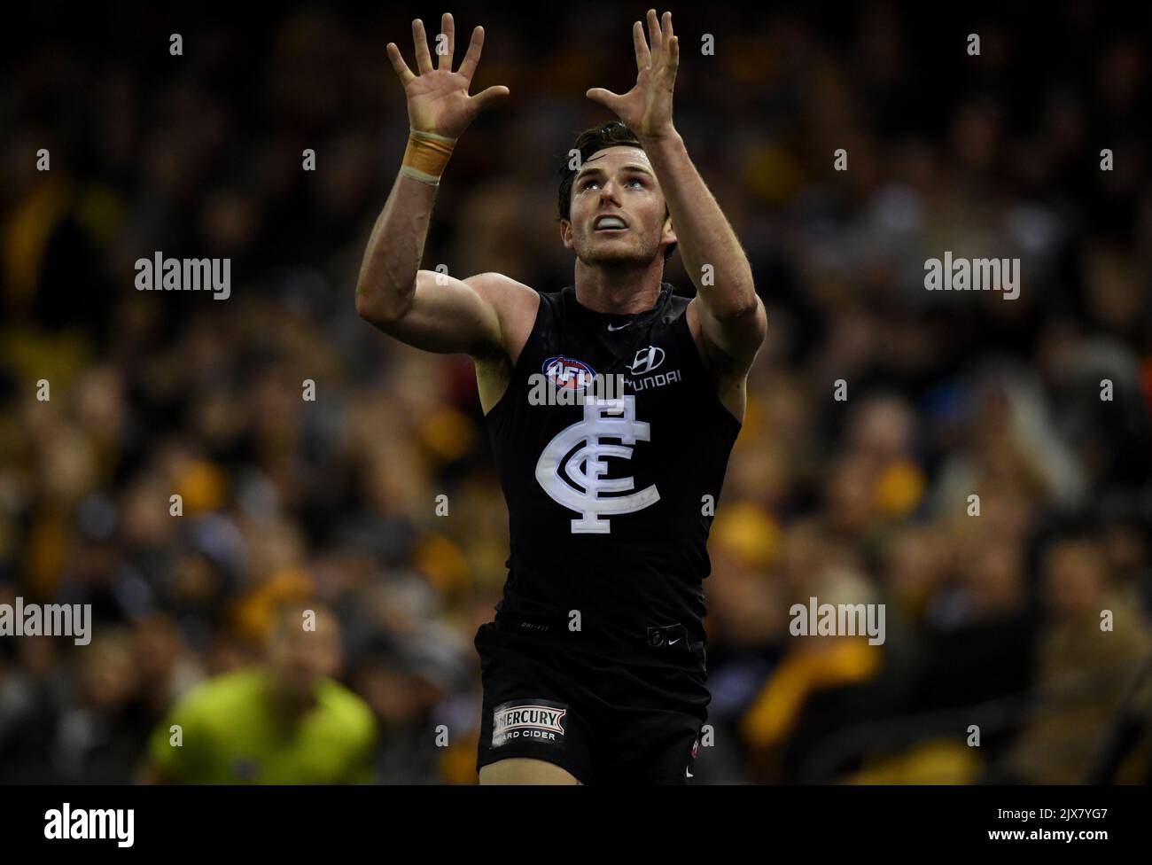 Jed Lamb of the Carlton Blues during the round 22 Carlton Blues and ...