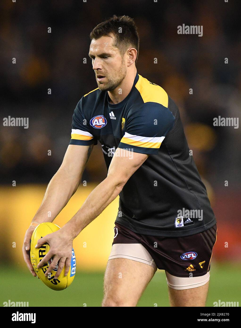 Luke Hodge of the Hawks is seen before the Round 23 AFL match between ...
