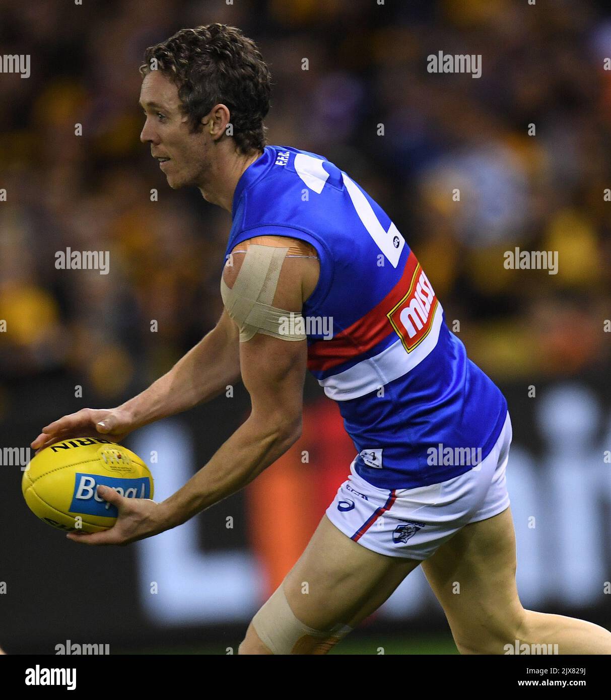 Robert Murphy of the Bulldogs is seen in action during the Round 23 AFL ...