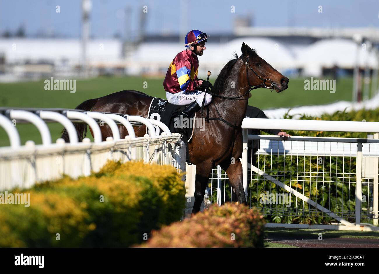 Jockey Larry Cassidy returns to scale after riding My Diamantine to win ...