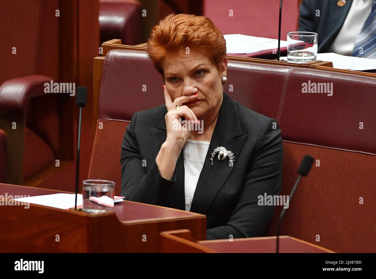 One Nation leader Senator Pauline Hanson during Question Time in the ...