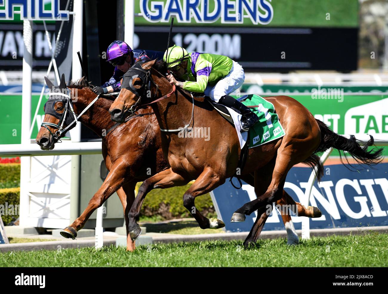 Jockey Corey Brown rides Suncraze to win race 2, in the Tab Highway ...