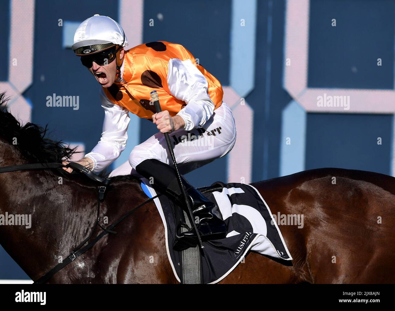 Jockey Joshua Parr riding Menari wins race 7, in The Run To The Rose ...