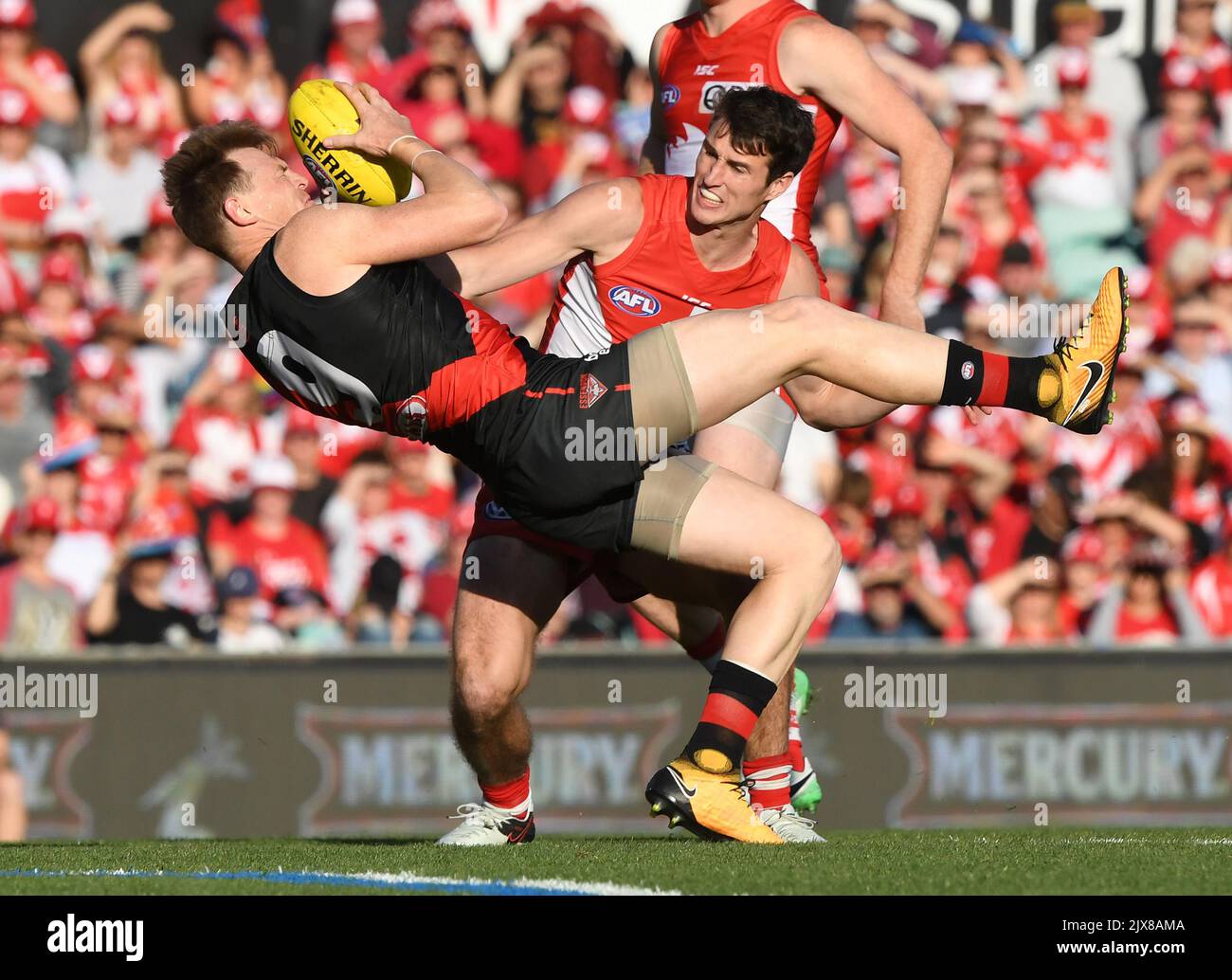 Brendon Goddard of the Bombers catches the ball during the AFL ...