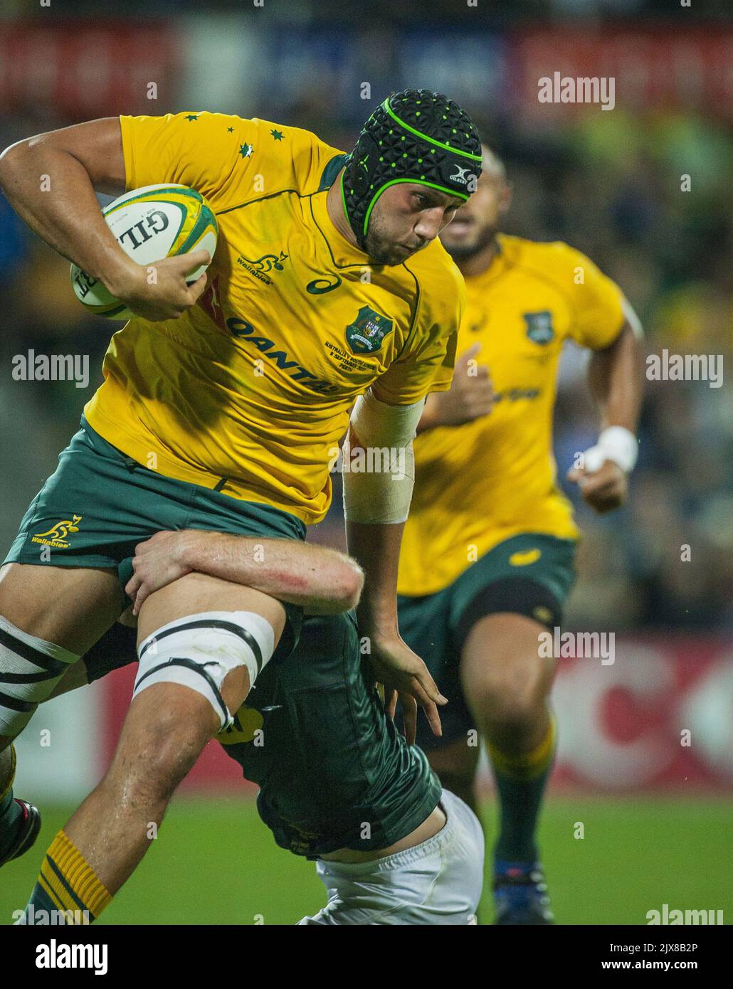 Adam Coleman for the Wallabies during the Rugby Championship match ...