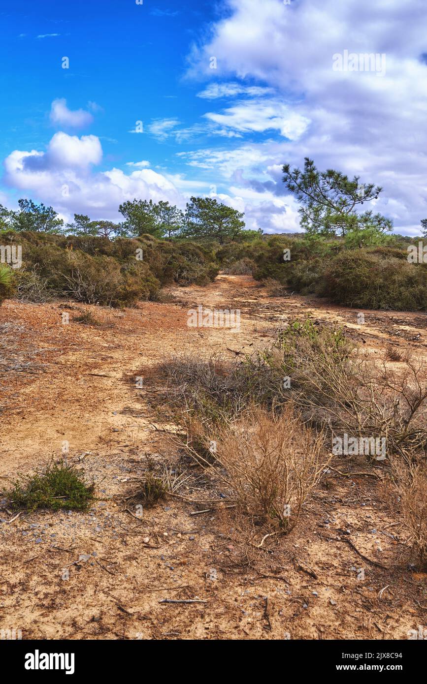 Torrey Pines State and Beach Park - San Diego, California, USA. The ...