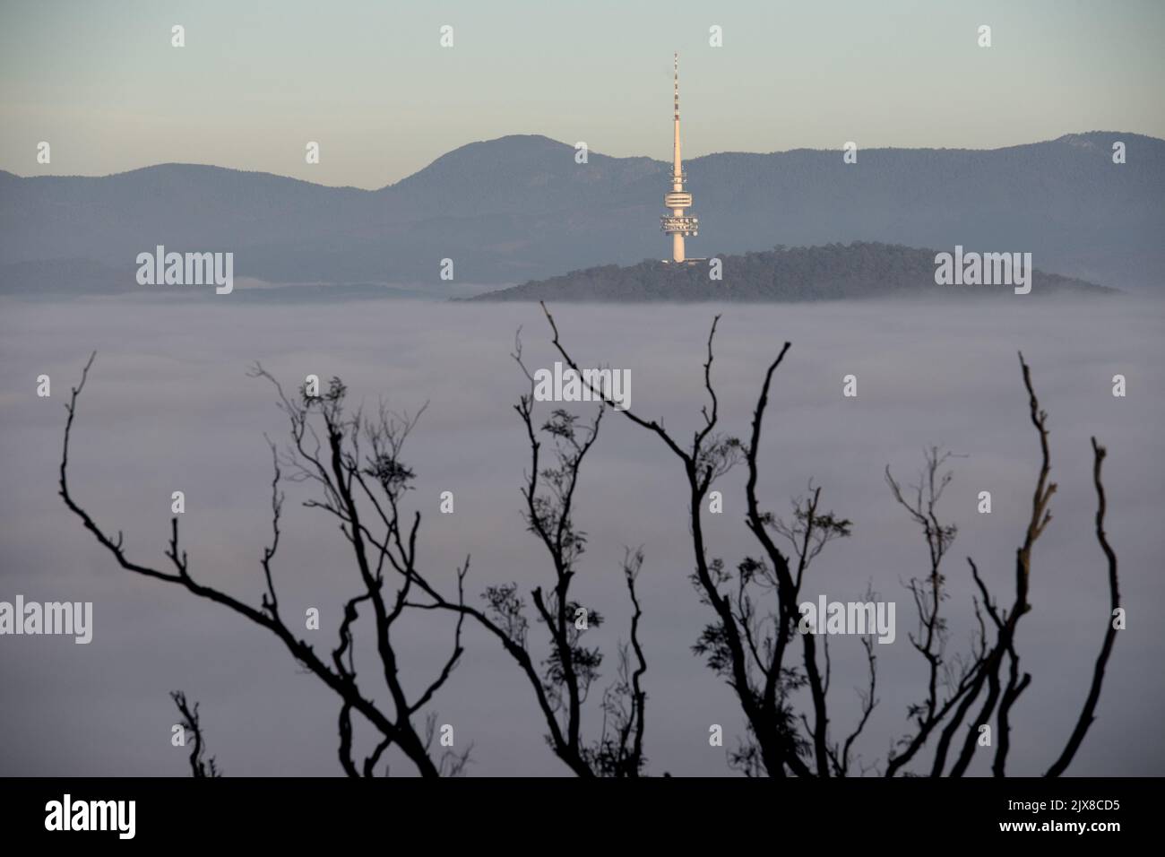 Testra Tower on Black Mountain is seen above a blanket of fog in ...