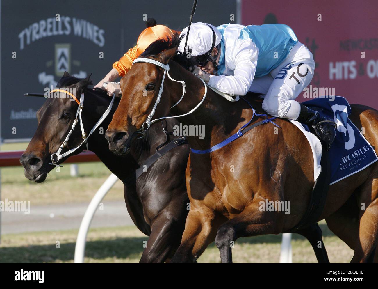 Tim Clarke riding Got Unders holds on to beat Blake Shinn aboard Sound ...