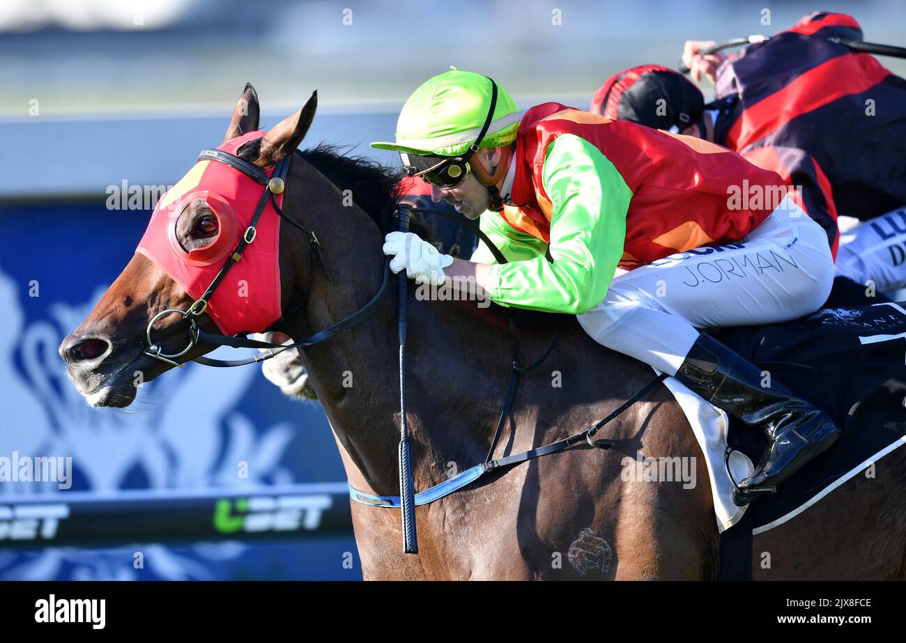 Jockey James Orman riding #7 Lordag wins race 8, the Surf Life Saving ...