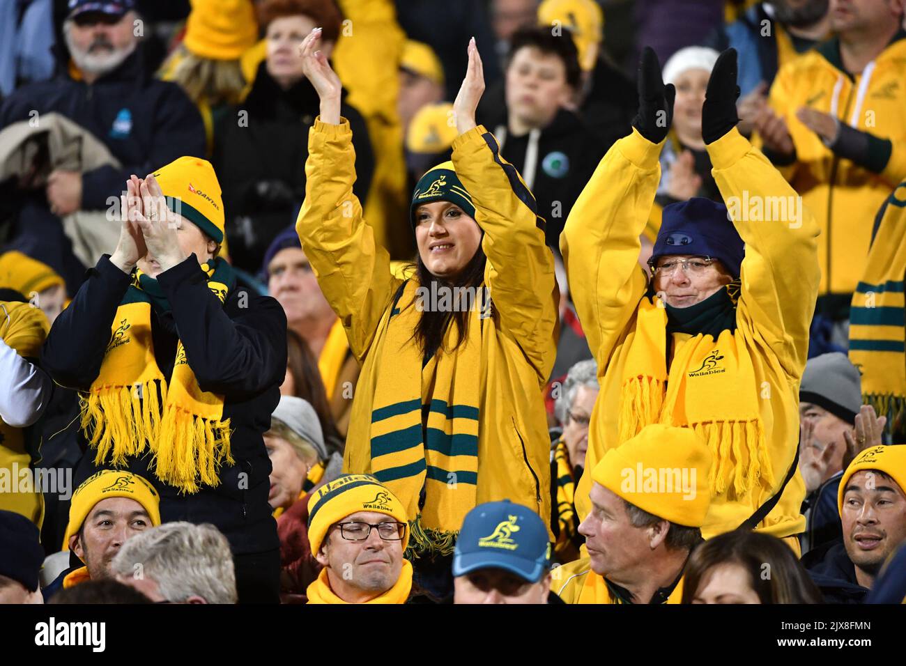 Wallabies fans cheer their team during the Rugby Championship match ...