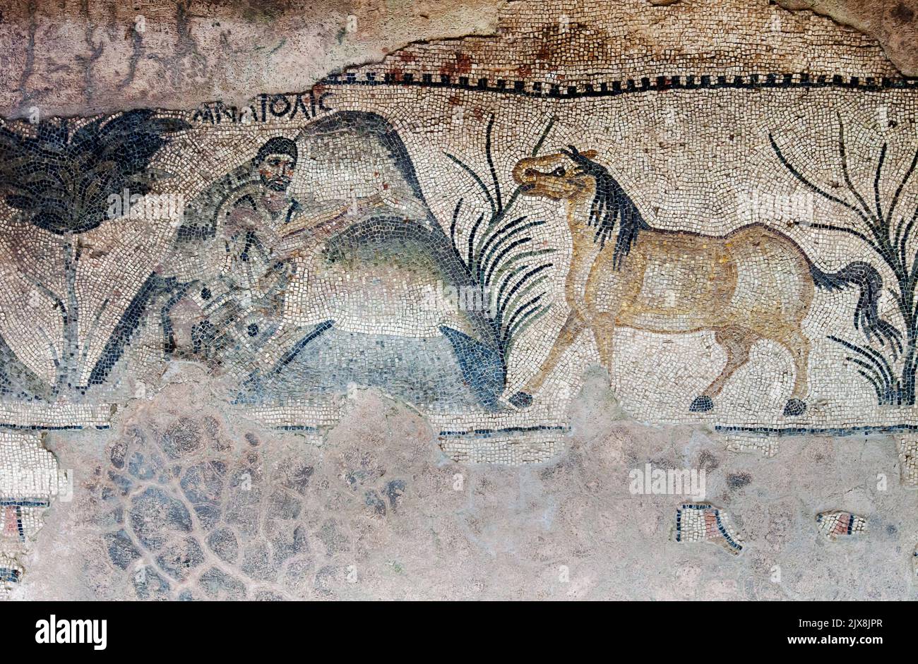 A mosaic at the Haleplibahce Mosaic Museum n Sanliurfa (Urfa) in south ...