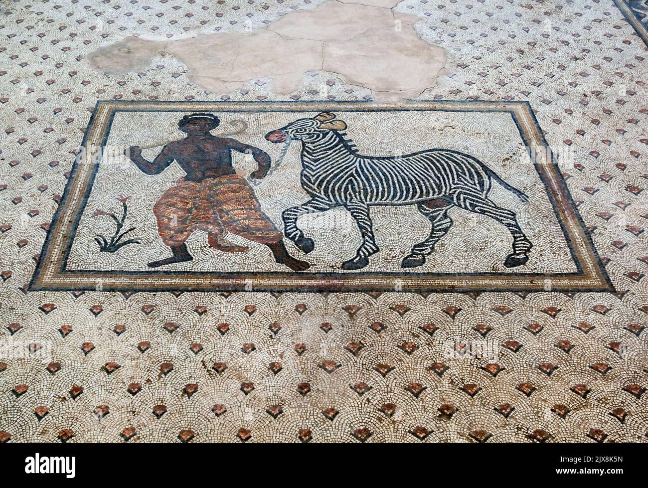A mosaic on the floor of a Roman villa depicting servant leading a ...