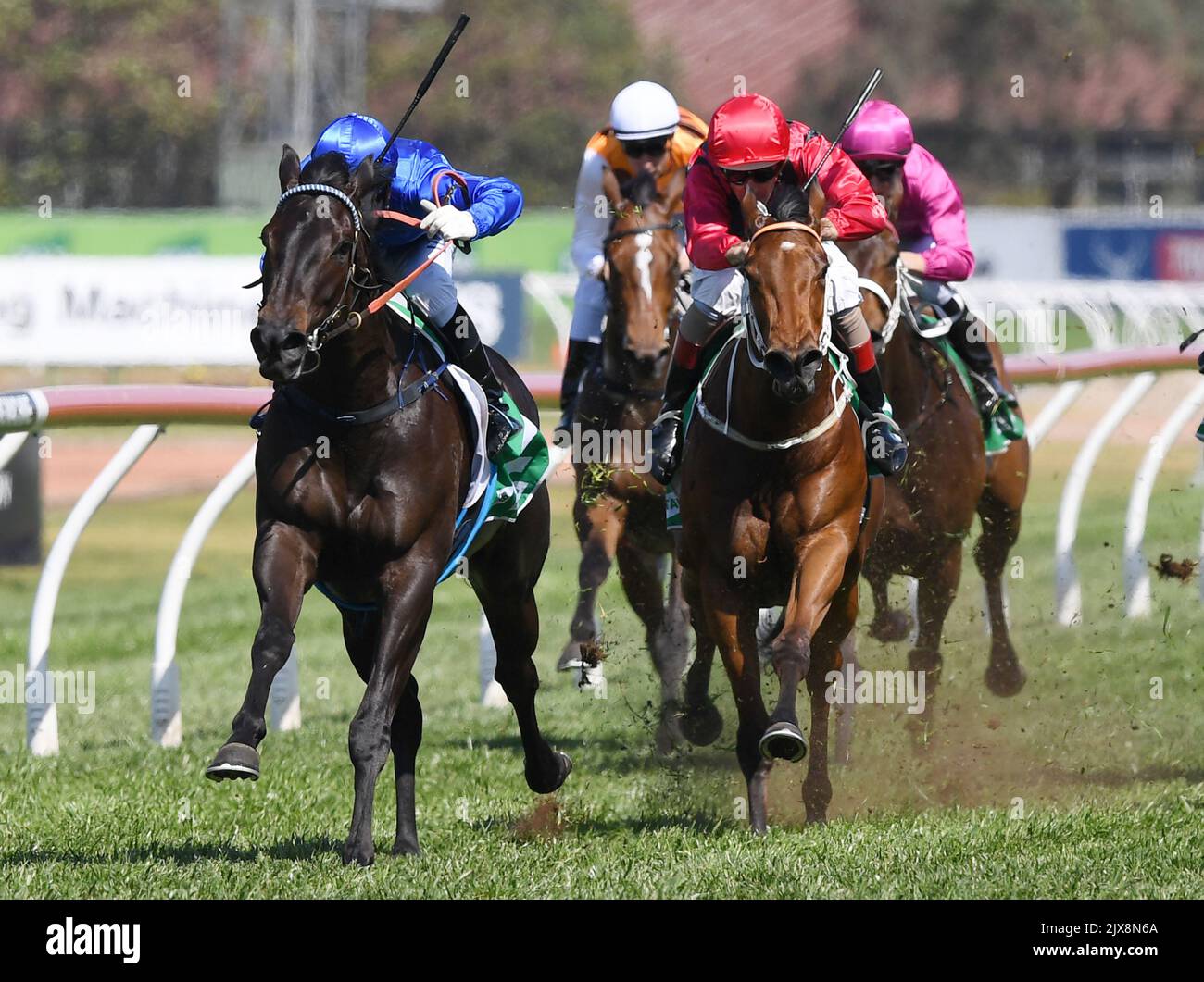 Demerara, ridden by Brenton Advulla (left), wins race 1, the TAB ...