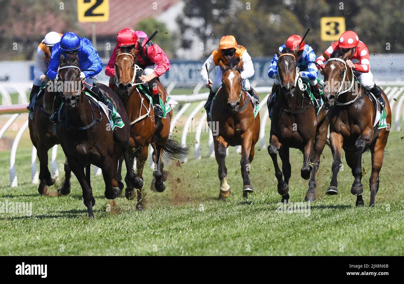 Demerara, ridden by Brenton Advulla (left), wins race 1, the TAB ...