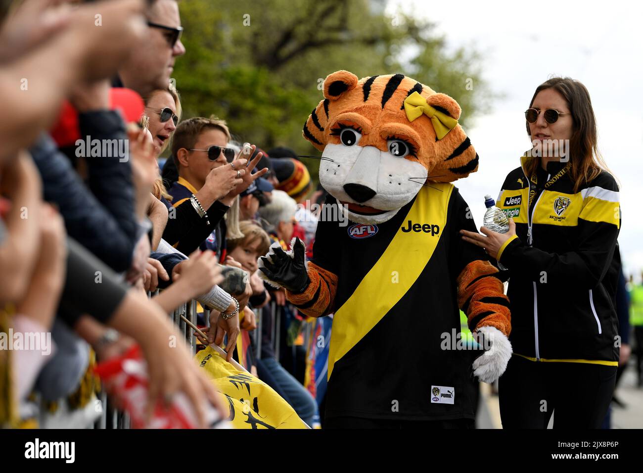 Tigga, the Tigers mascot is seen at the AFL Grand Final parade in ...