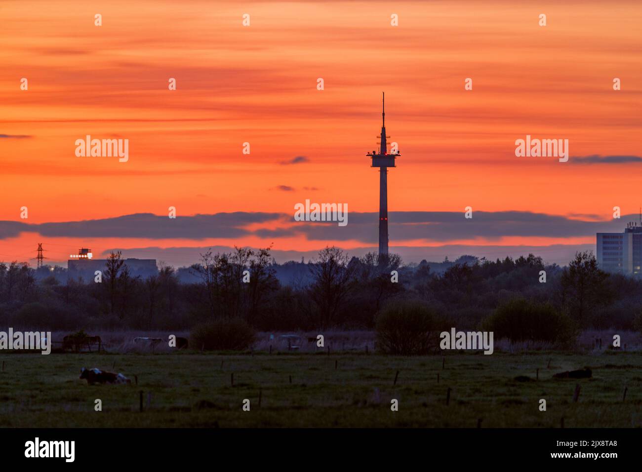 Telecommunication tower Heide Stock Photo - Alamy
