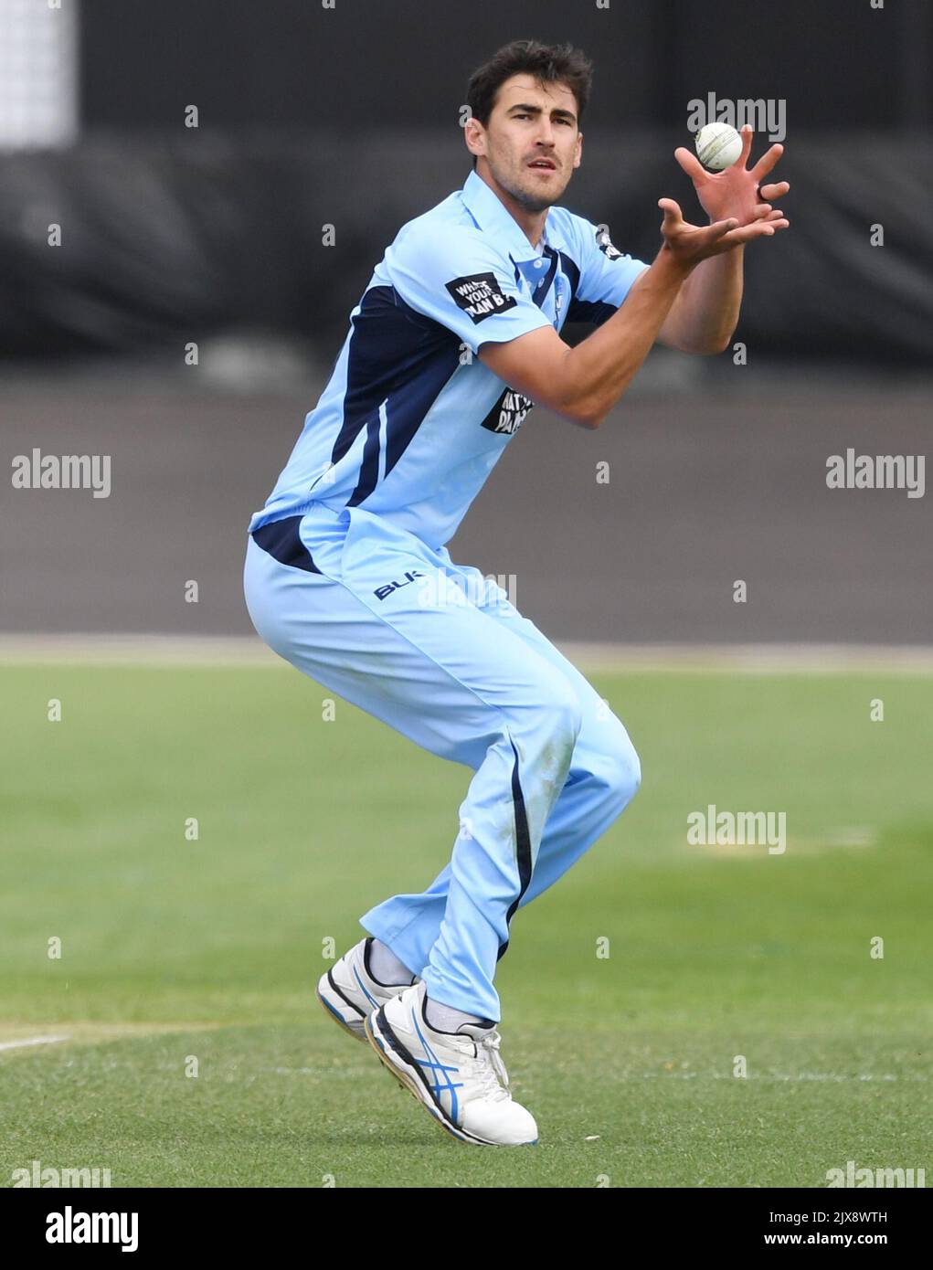 Mitchell Starc of the Blues catches the ball during the JLT One day Cup ...