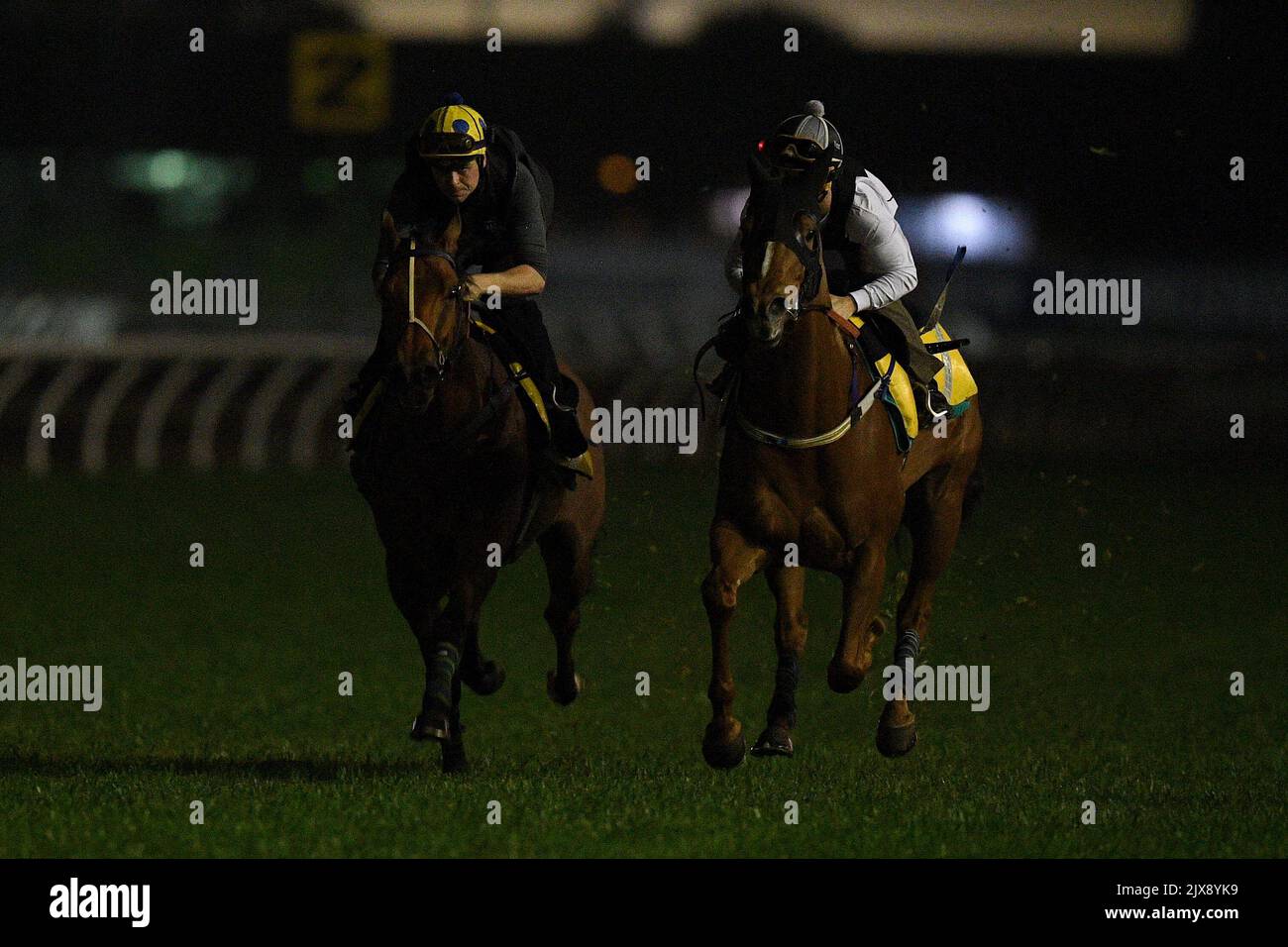 Deploy (left) trained by Gerald Ryan, takes part in trackwork at ...