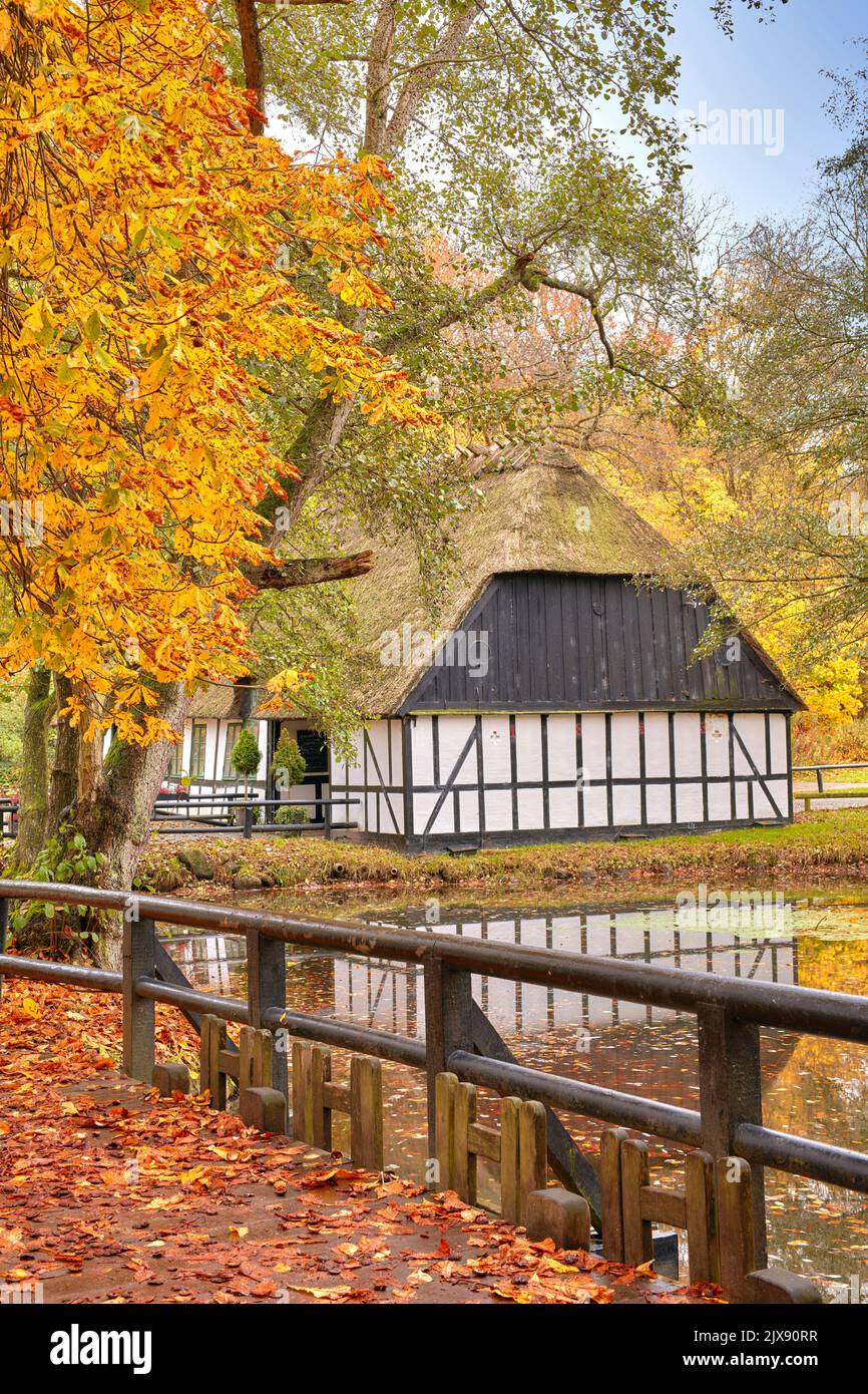 Forest house - National public treasure, Denmark.A several hundred ...