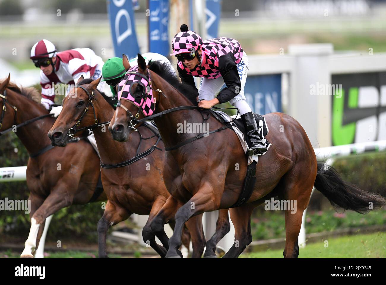 Jockey Matt Macgillivray rides No Annamossity to win race 3, the Class ...