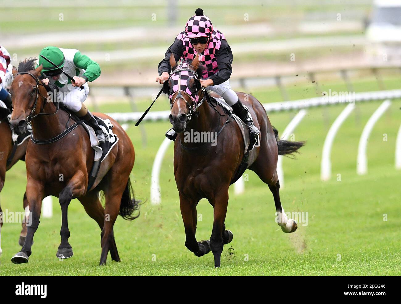Jockey Matt Macgillivray rides No Annamossity to win race 3, the Class ...