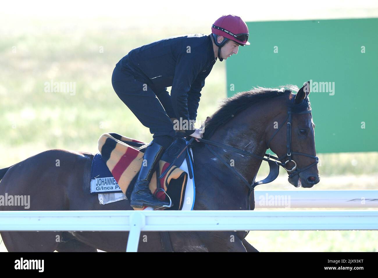 Aidan O'Biren trained horse Johannes Vermeer is seen during trackwork ...