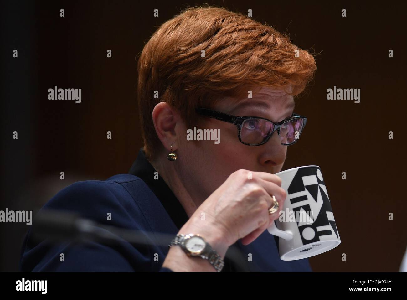 Australian Defence Minister Marise Payne speaks during Senate estimates ...