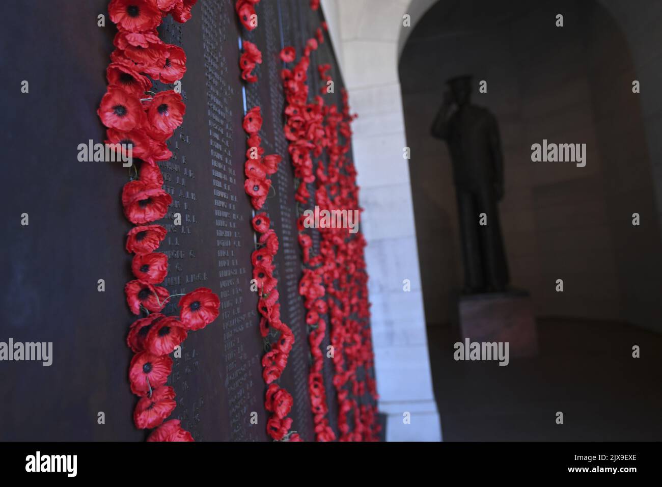 Poppies are seen on the Roll of Honour on the day marking the 100th ...