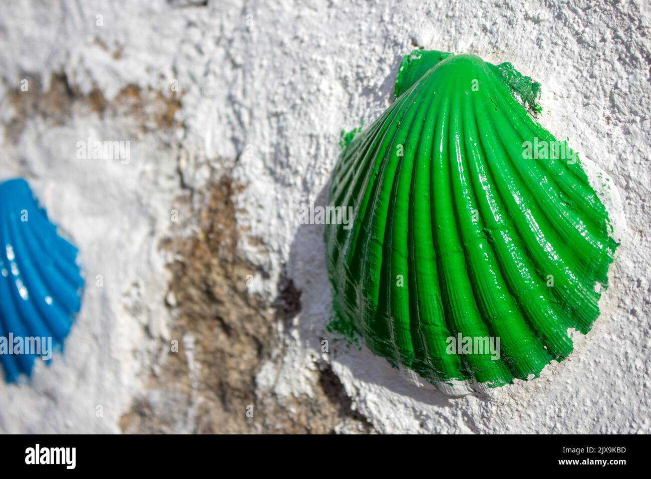 Colorgul shell in stone wall. Symbol of Camino de Santiago. Sing for ...