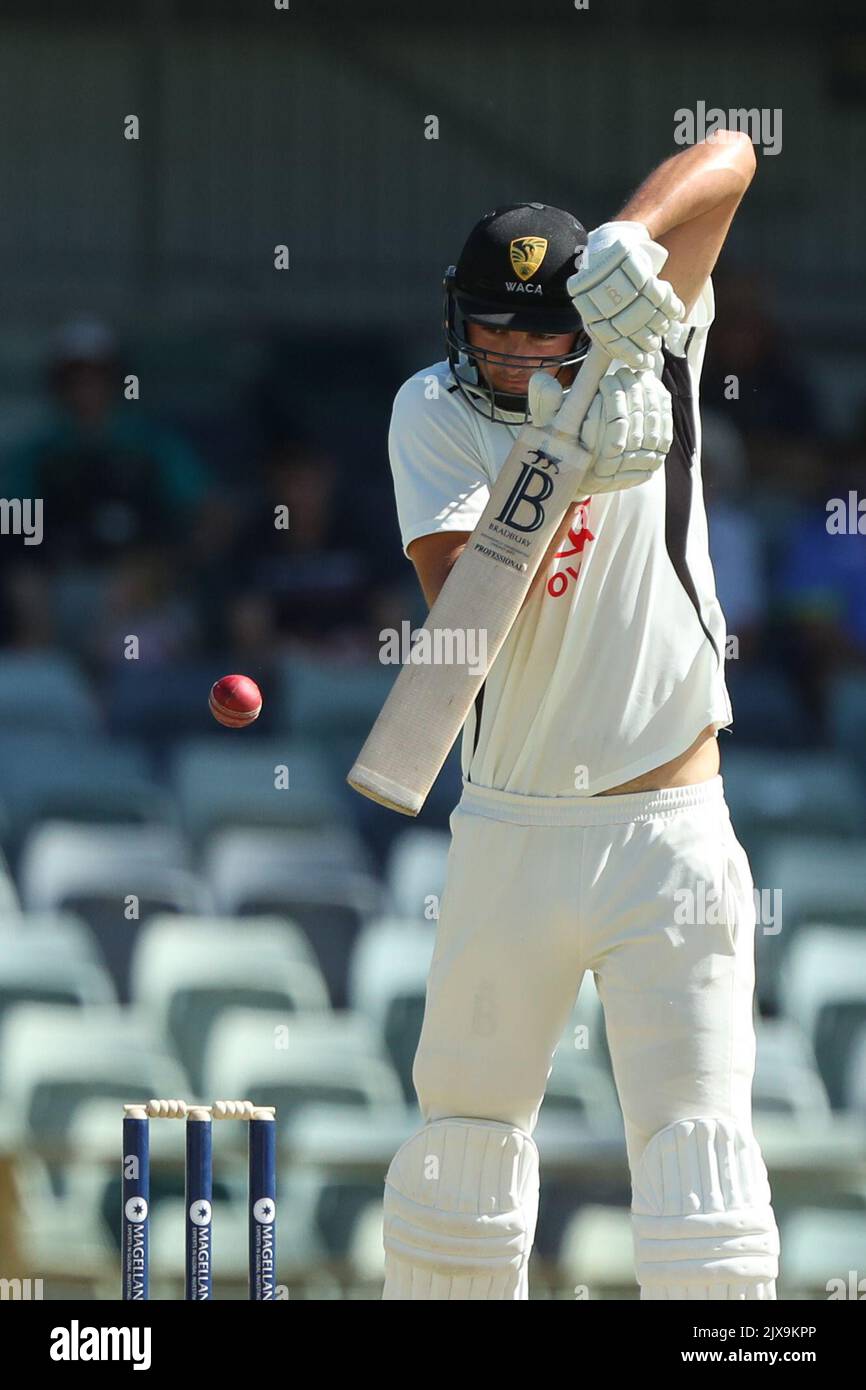 Tim David of Western Australia bats during the England Men's tour of ...