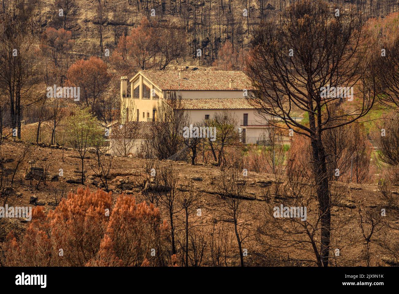 Edificio de calentamiento hi-res stock photography and images - Alamy