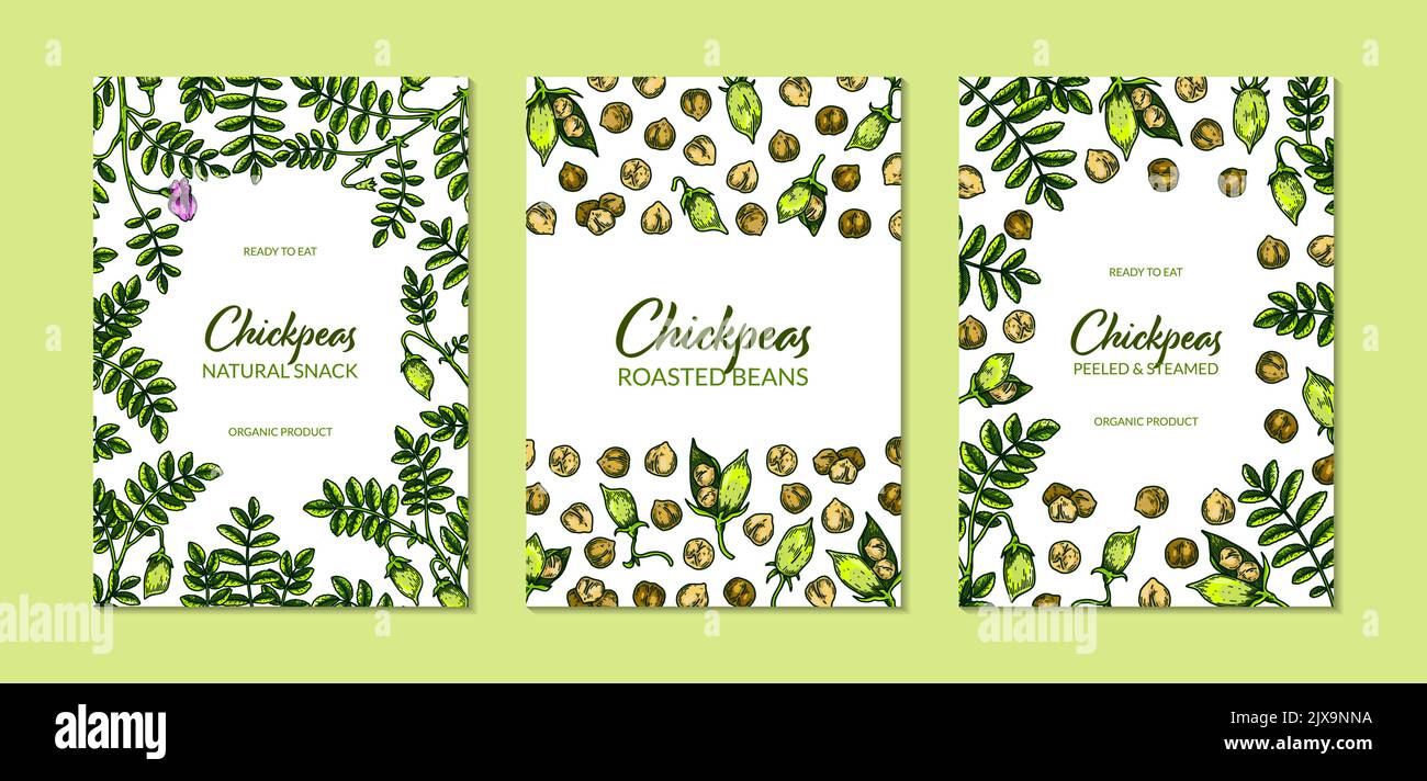 Set of colorful vertical chickpeas designs. Hand drawn illustration in ...