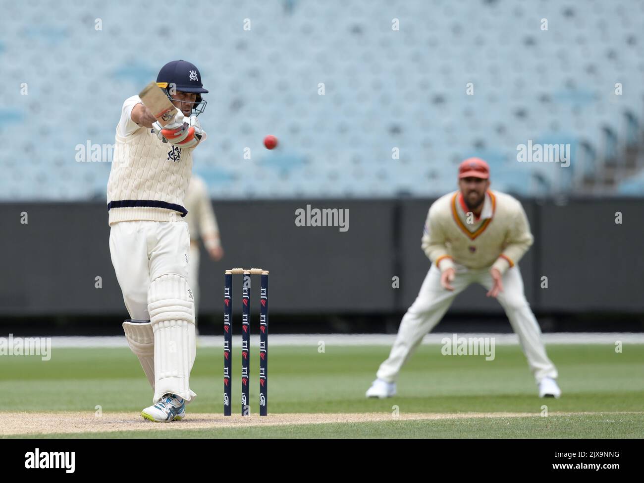 Victoria'€™s Glenn Maxwell during day 4 of the round 2 JLT Sheffield ...