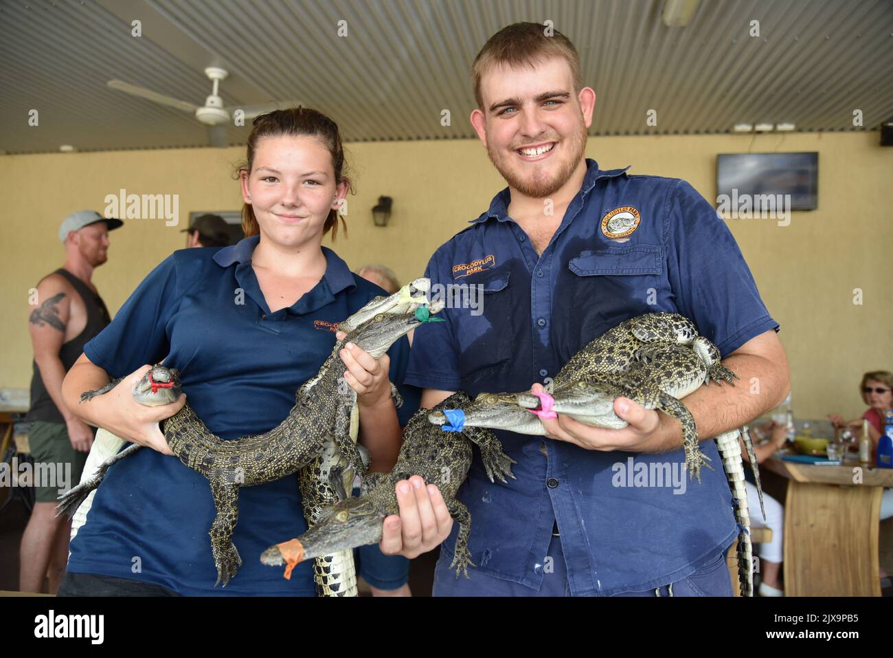 Baby crocodiles are seen at the Berry Springs Tavern in Berry Springs ...
