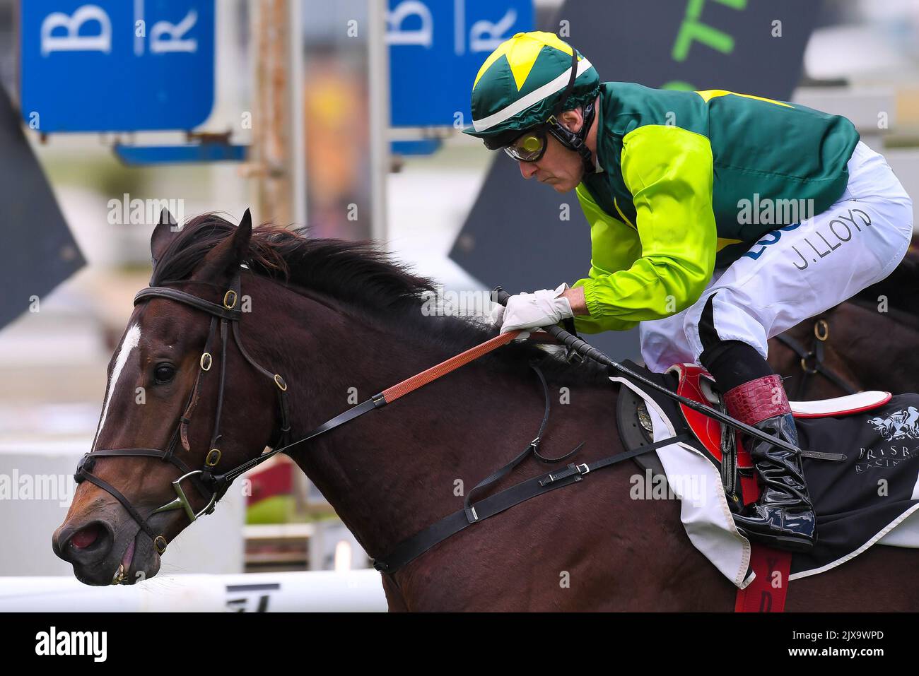 Jockey Jeff Lloyd rides Dazzling Red to win race 2, the Three-Years-Old ...