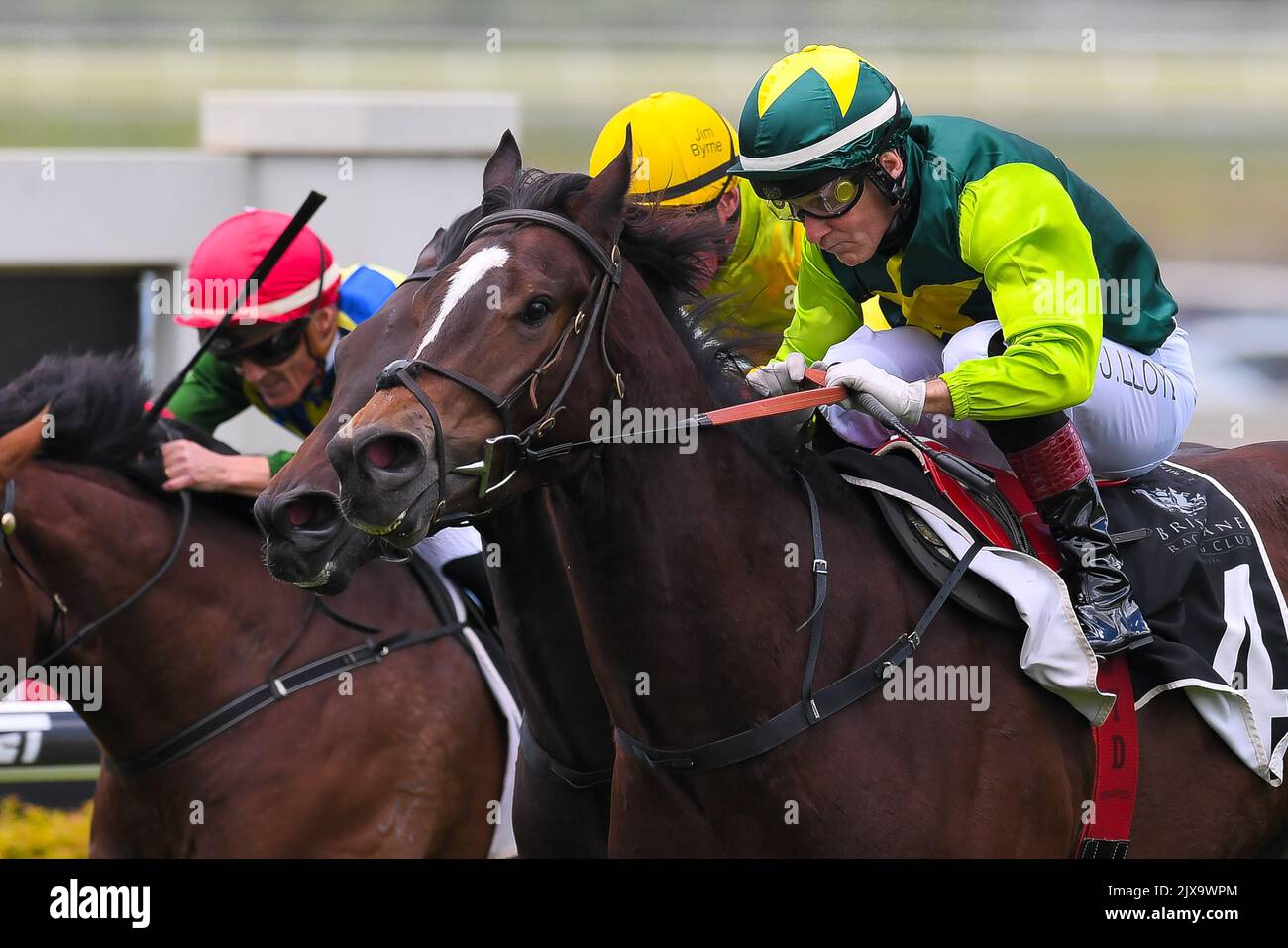 Jockey Jeff Lloyd rides Dazzling Red (right) to win race 2, the Three ...