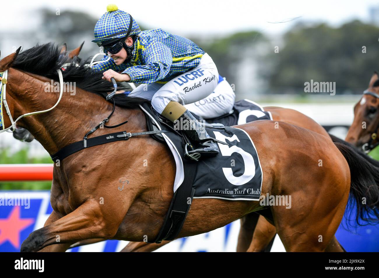 Jockey Rachel King riding Just Dreaming to win race 7, the Australian ...