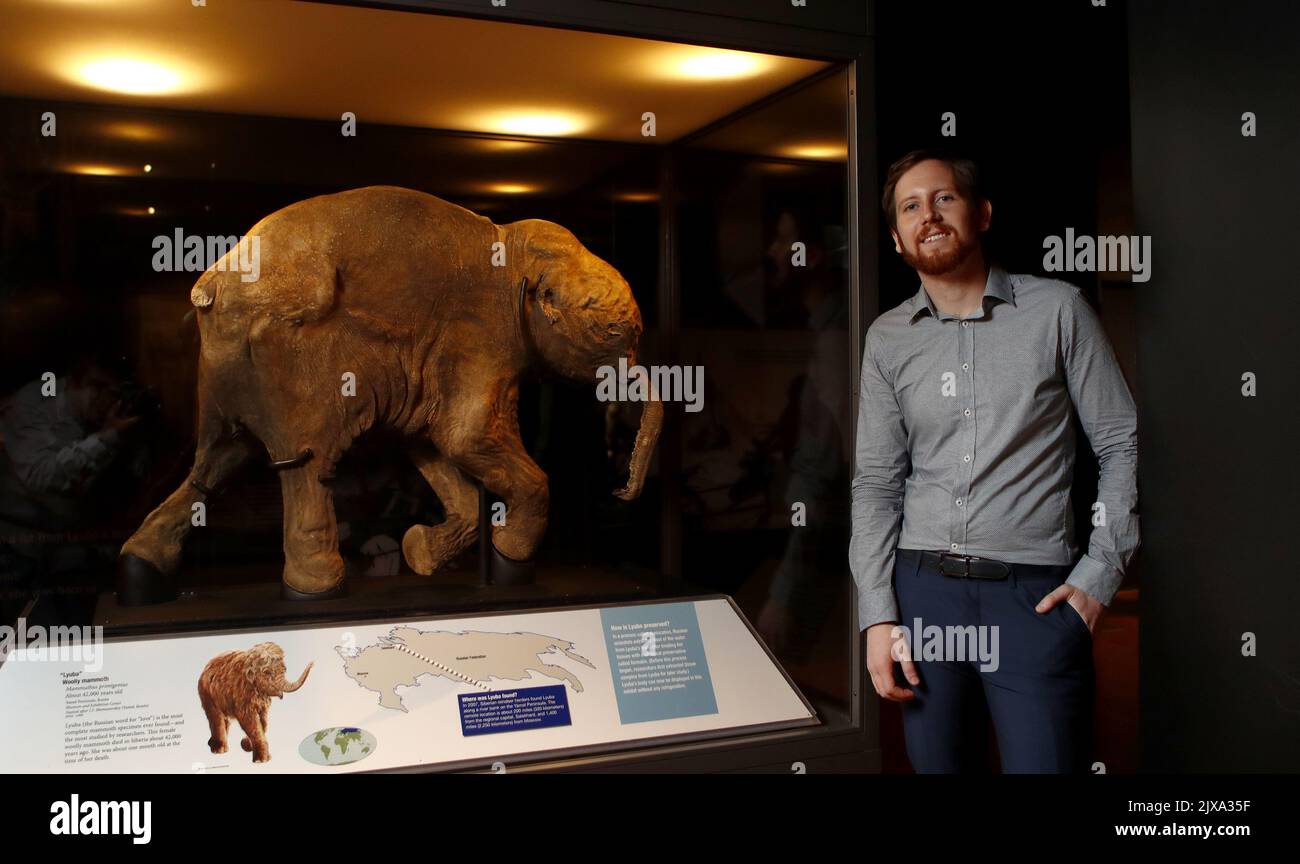 Palaeontologist Dr. Matthew McCurry poses in front of Lyuba, a 42,000 ...