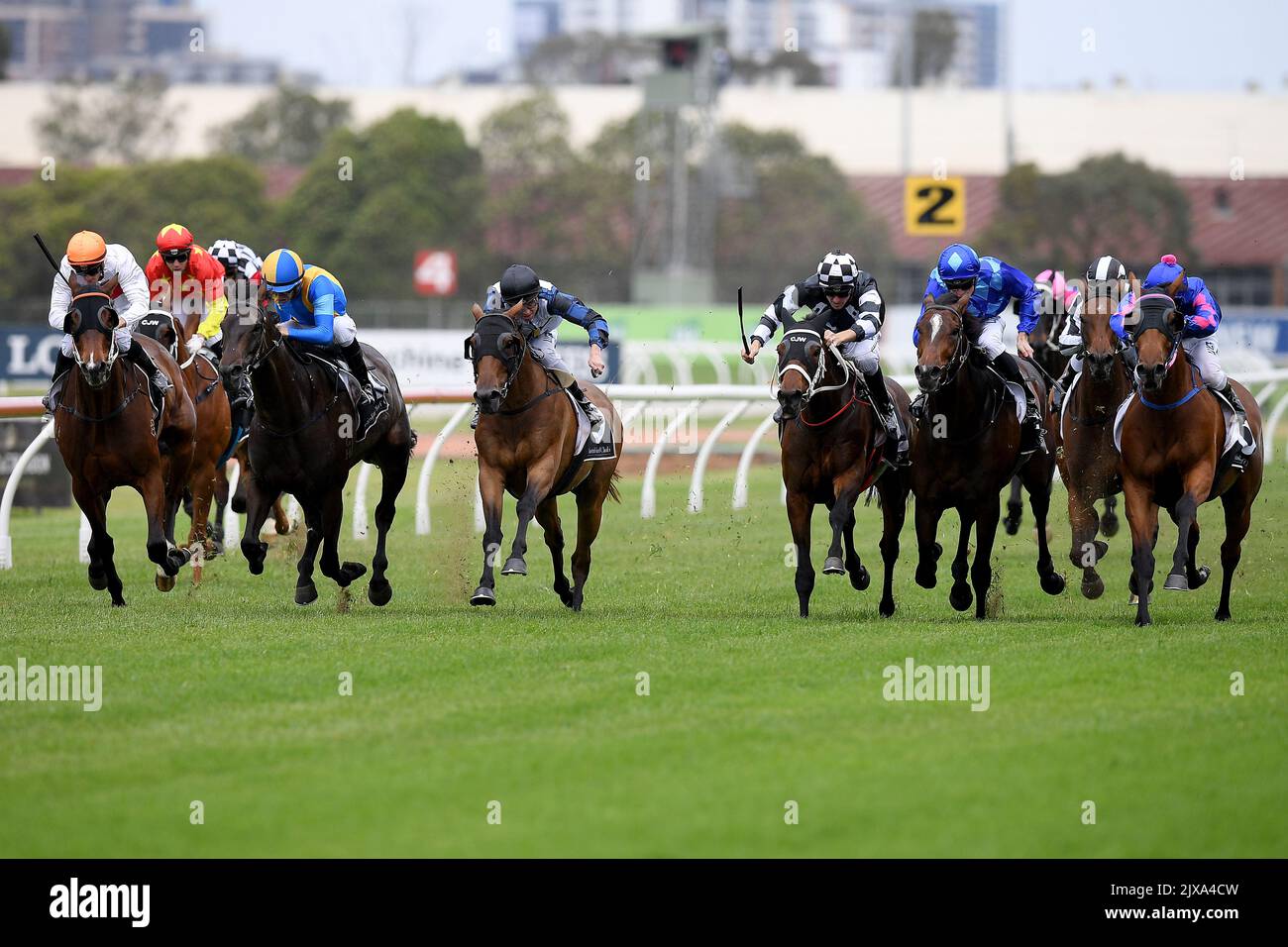 Lord Kingsley ridden by Tim Clark (right) wins Race 3, the BOOHOO.COM ...