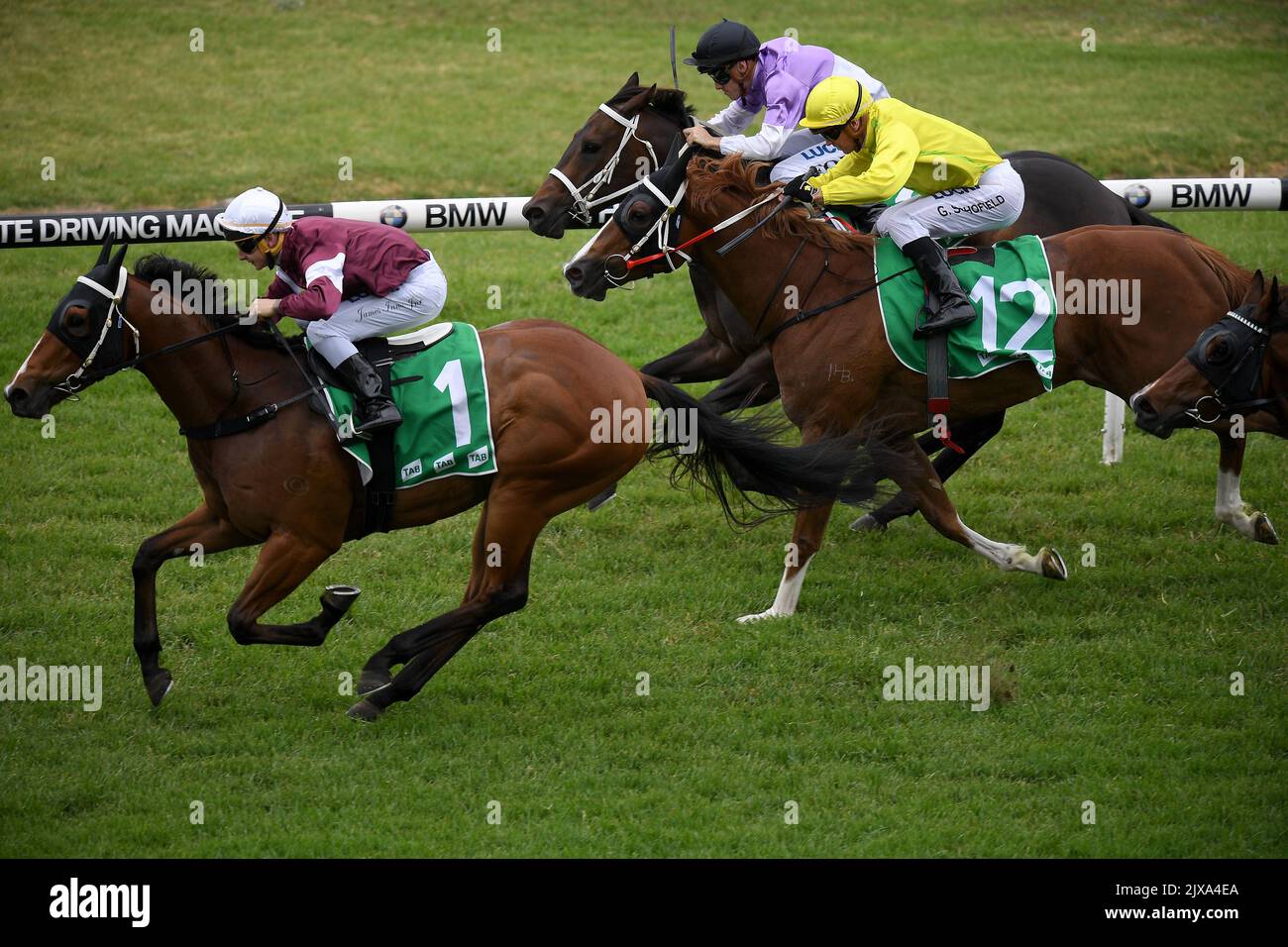 Equal Balance ridden by James Innes Jnr wins Race 4, the TAB Highway ...