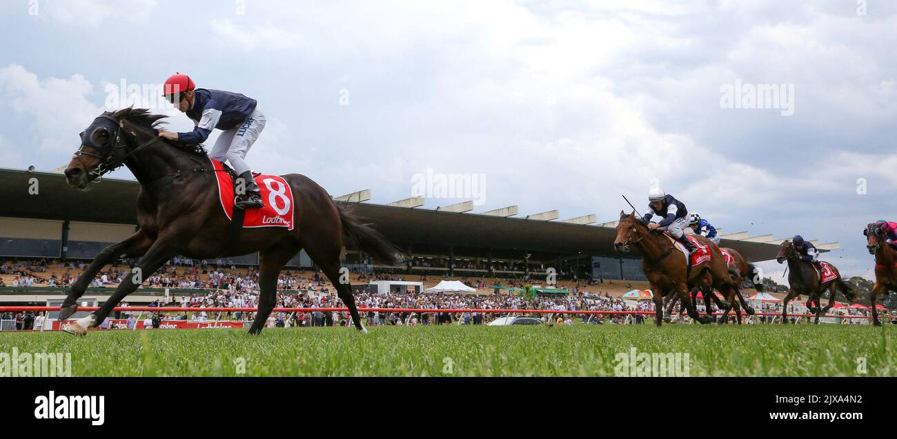 Ben Melham rides The Taj Mahal to victory in the Quayclean Zipping ...