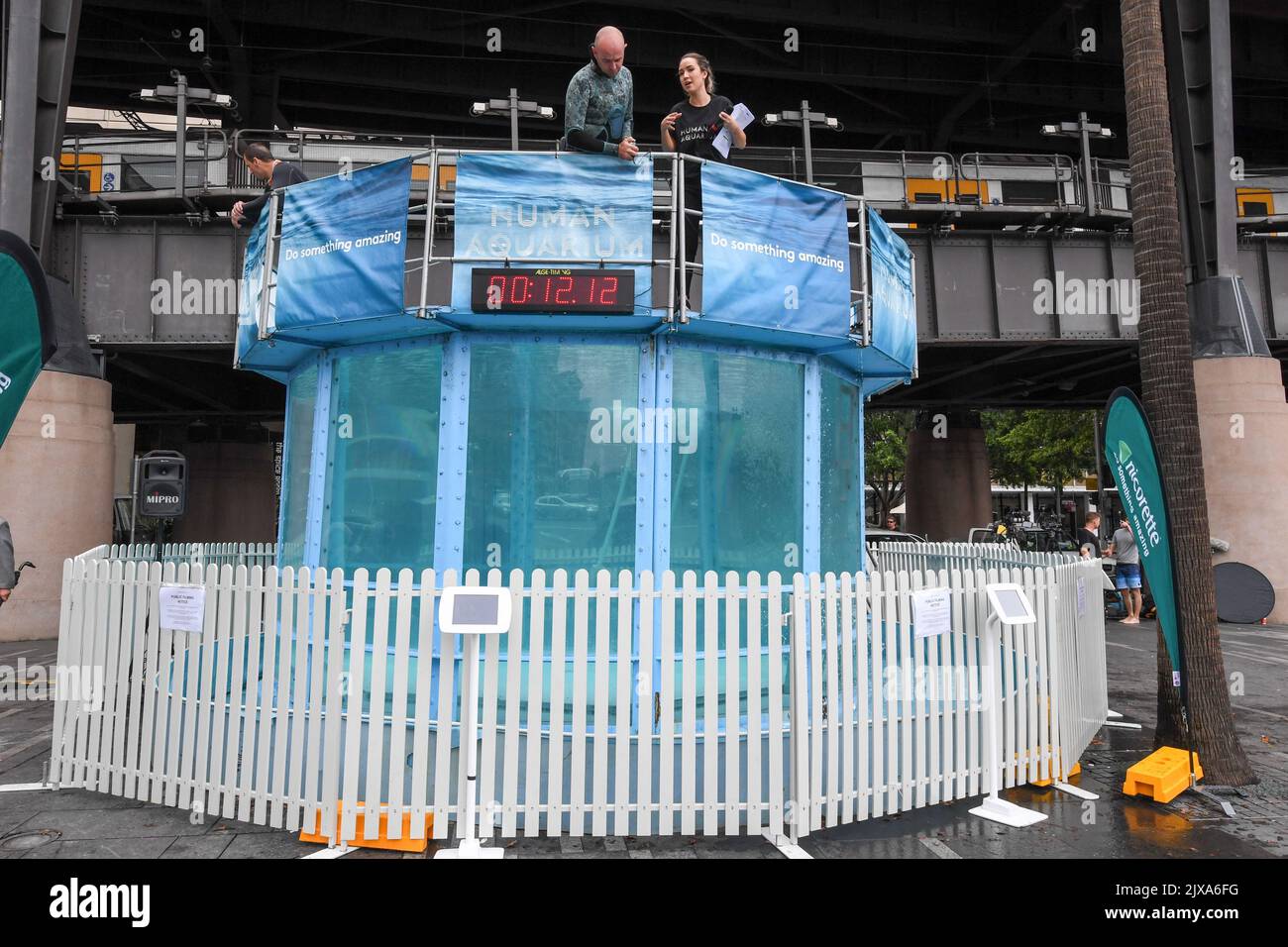 A "human acquarium" is seen at Circular Quay Wednesday, November 20 ...