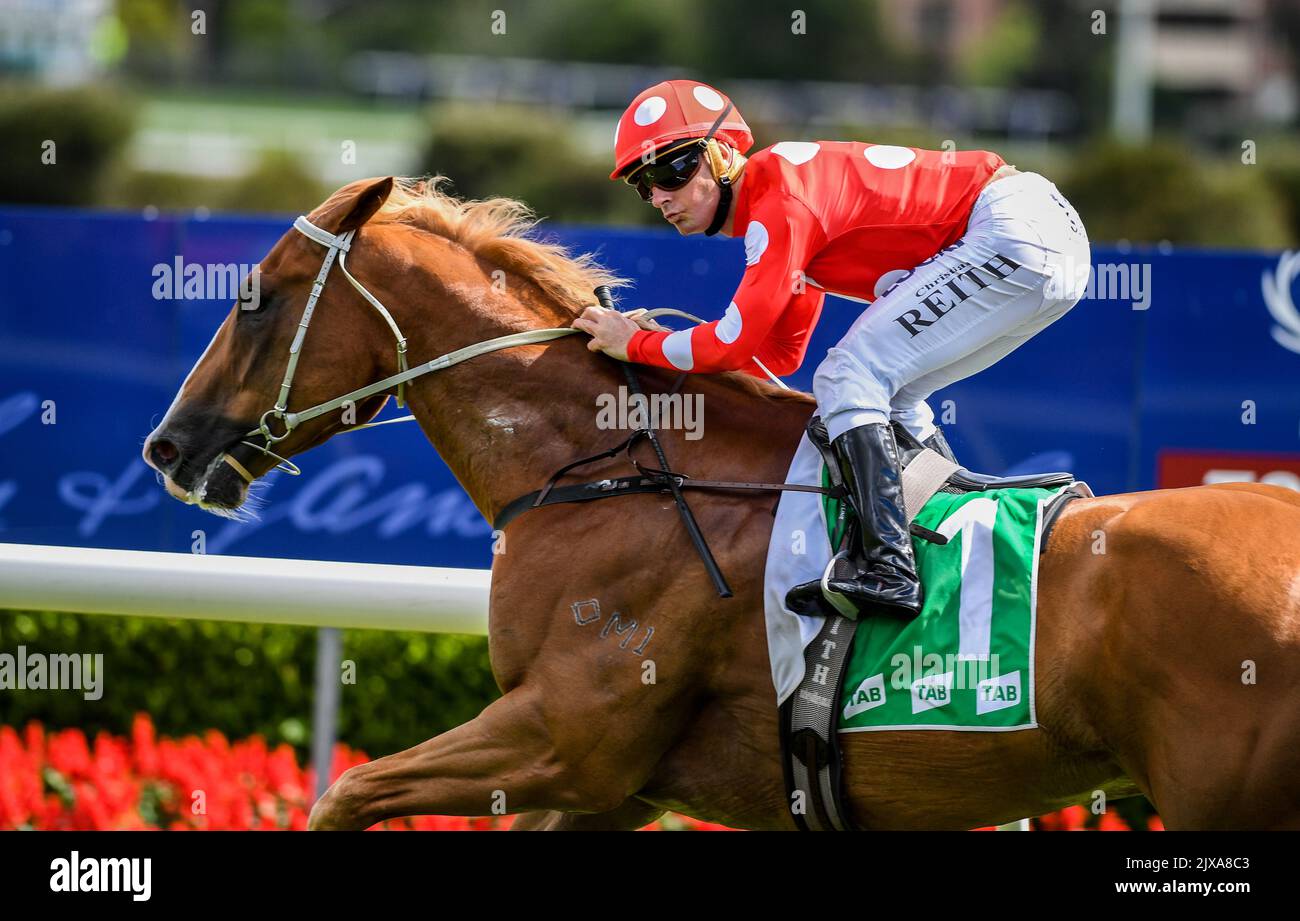 Jockey Christian Reith rides Junglized to victory in race 4, The Tab ...