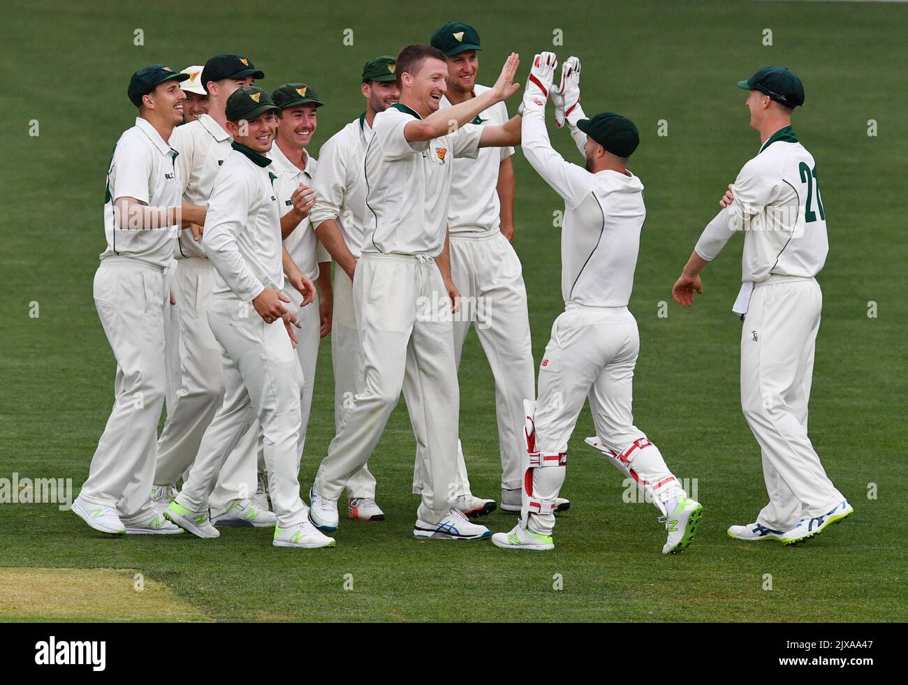 Tigers players celebrate the dismissal of Johnathon Dalton of the ...