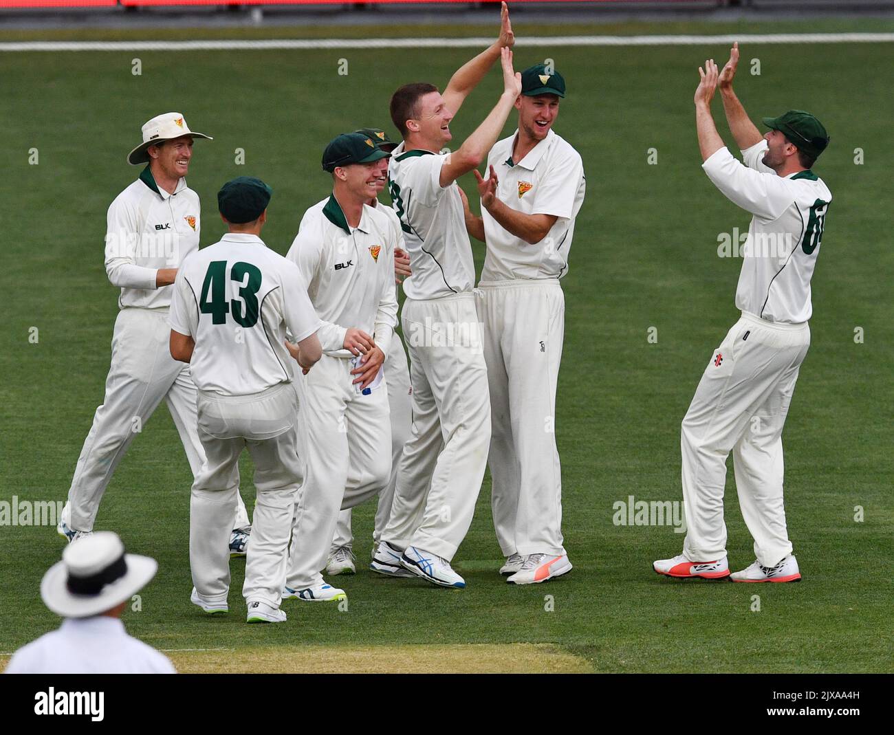 Tigers players celebrate the dismissal of Johnathon Dalton of the ...
