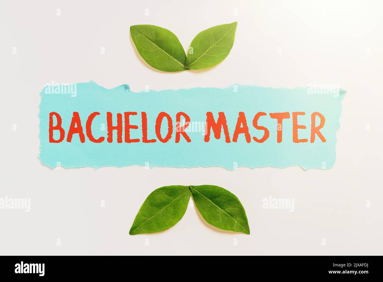 Text showing inspiration Bachelor MasterAn advanced degree completed ...