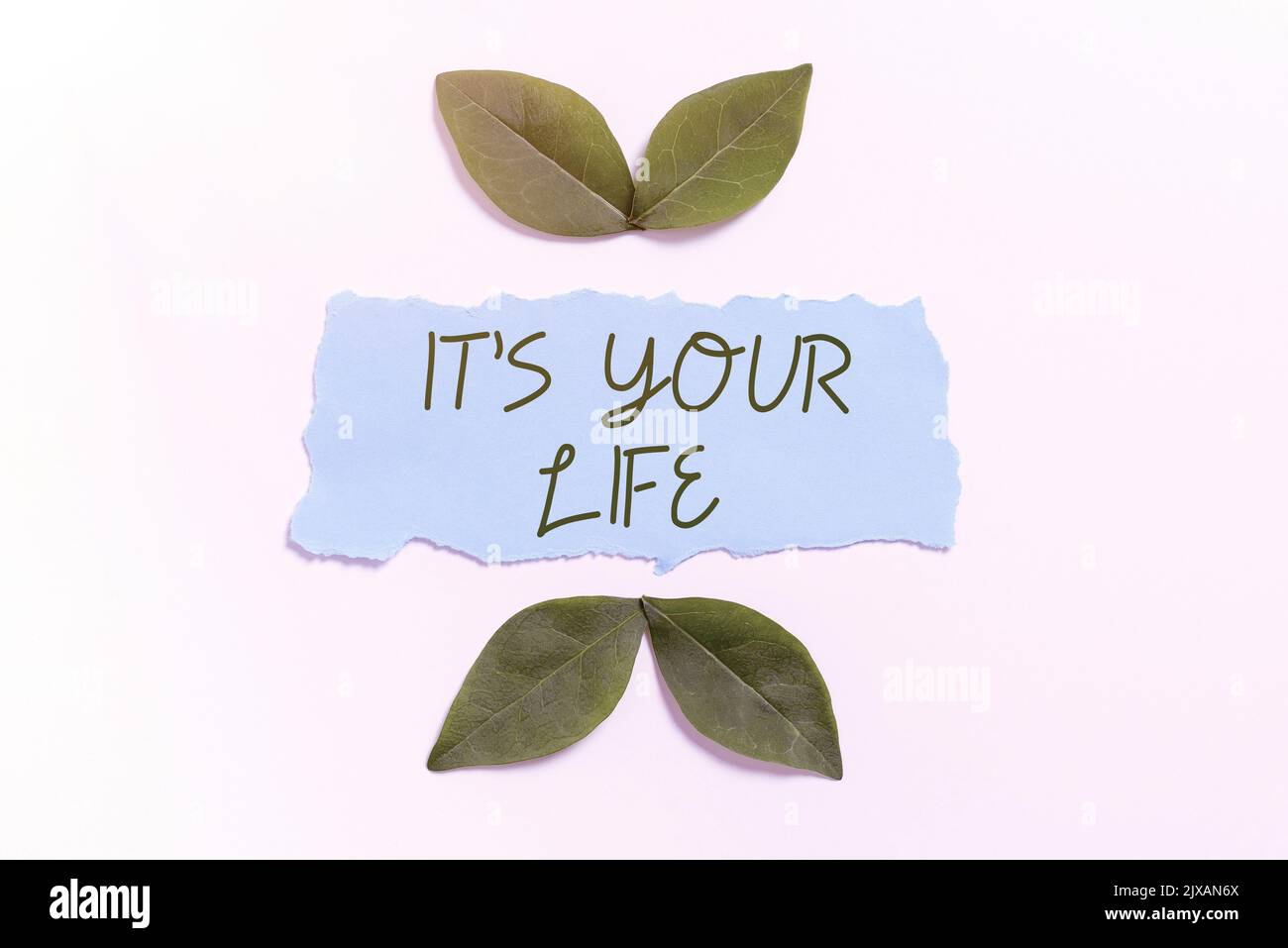 Conceptual display It S Your Life. Internet Concept You can make your ...