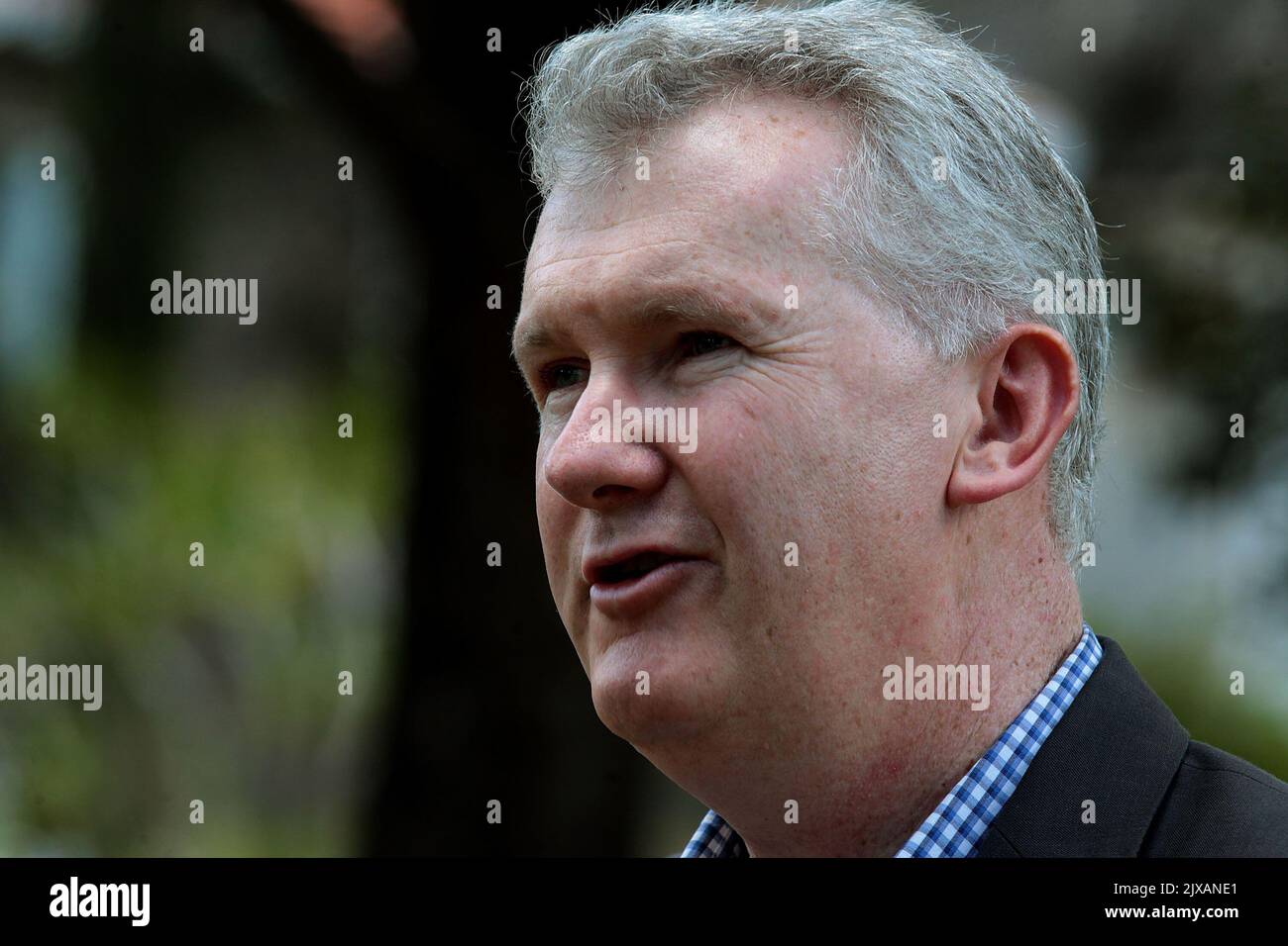 Manager of Opposition Business Tony Burke is seen during a press ...