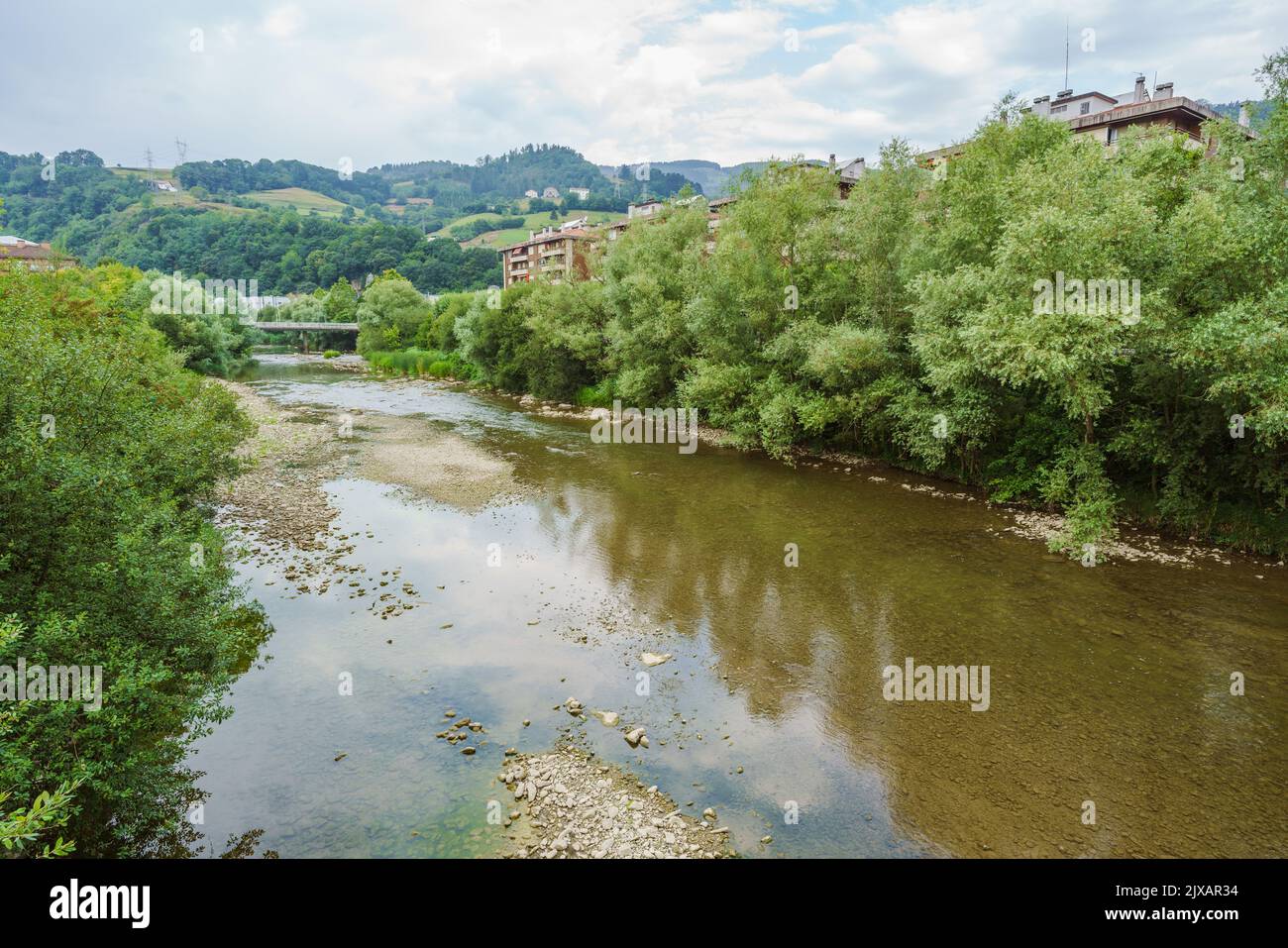 Less caudal hi-res stock photography and images - Alamy