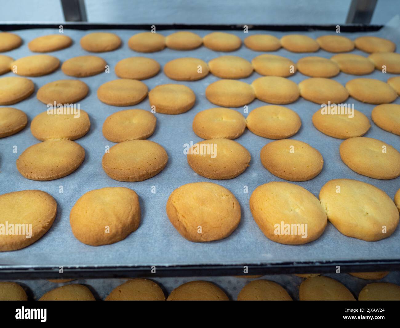 baker baking cooking in the kitchen of a lab Stock Photo - Alamy